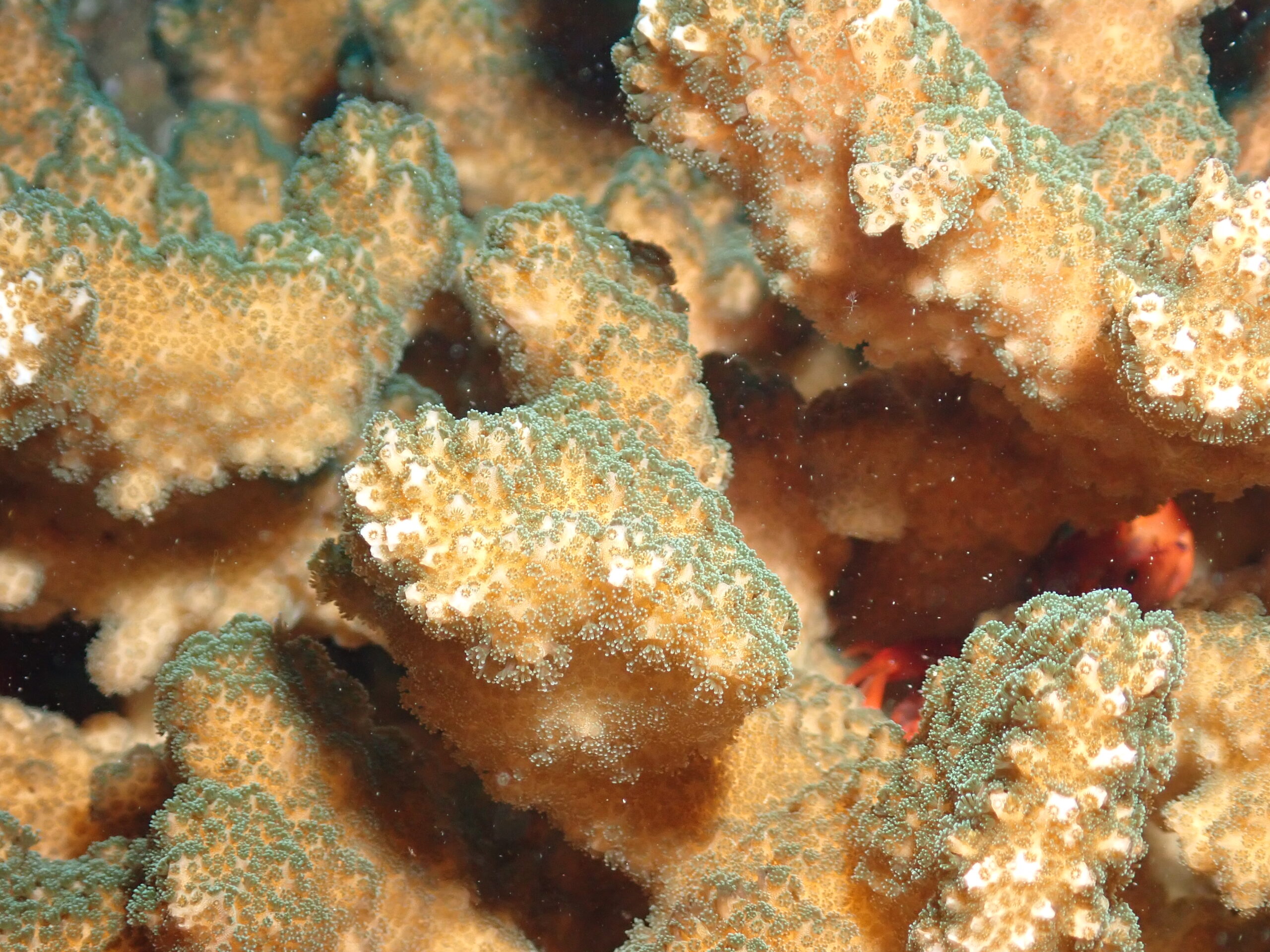 4 October, 2024 - EDWARD JACOBS